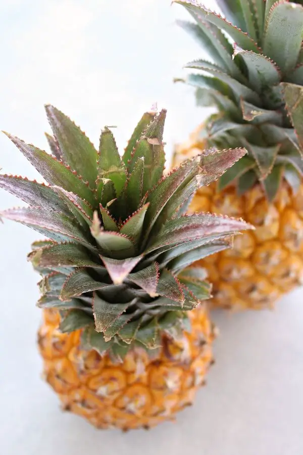 Healing Fresh Pineapple Berry Juice - Berry Sweet Life