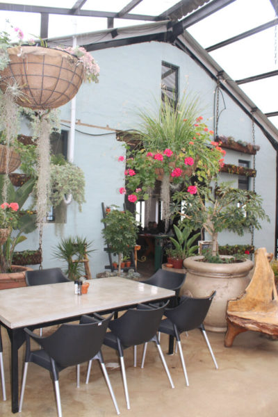 Blueberry Cafe Midlands Meander - Berry Sweet Life