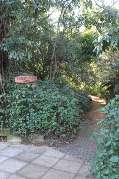 Waterberry Coffee Shoppe And Forest Walk - Berry Sweet Life