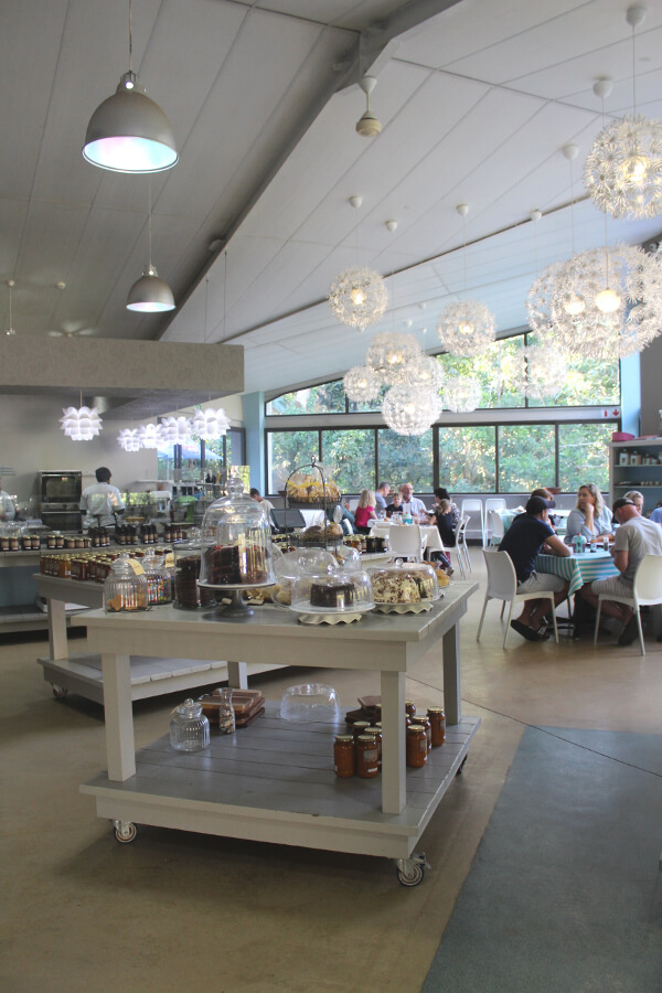 Waterberry Coffee Shoppe And Forest Walk - Berry Sweet Life