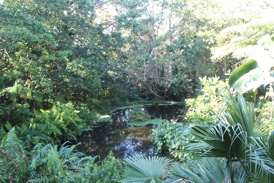 Waterberry Coffee Shoppe And Forest Walk - Berry Sweet Life
