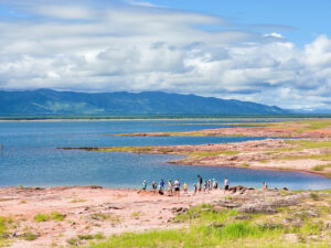 4 Nights at Spurwing Island Kariba II - Berry Sweet Life