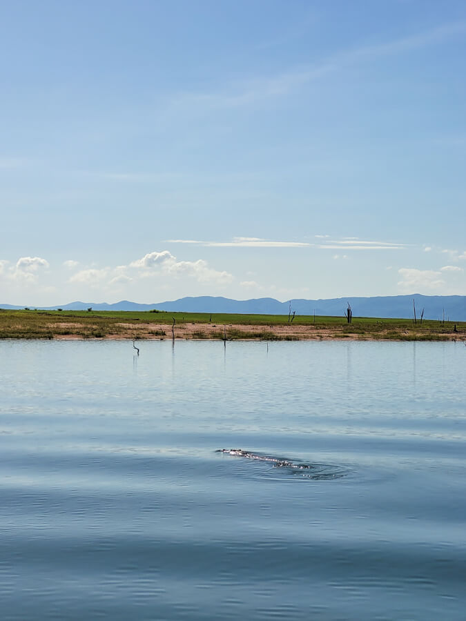 4 Nights at Spurwing Island Kariba - Berry Sweet Life