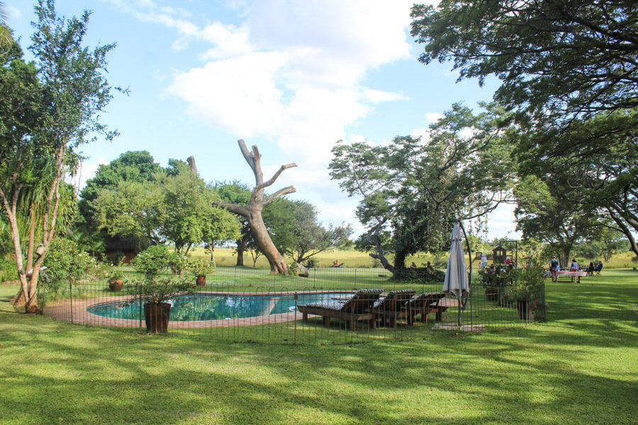 Imire Rhino & Wildlife Conservation - Berry Sweet Life